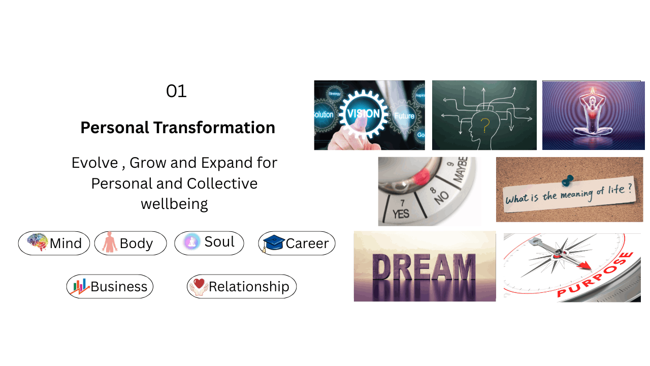 Our Offerings | Coaching & Growth Programs | The Robust Mind