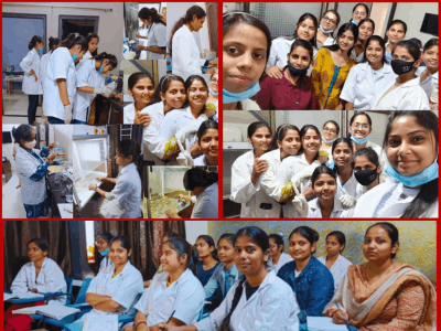 Research Projects for B.Tech Biotechnology Students in Varanasi: Expert ...