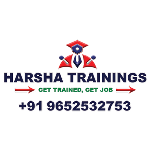 logo512x512_1725885306729.png